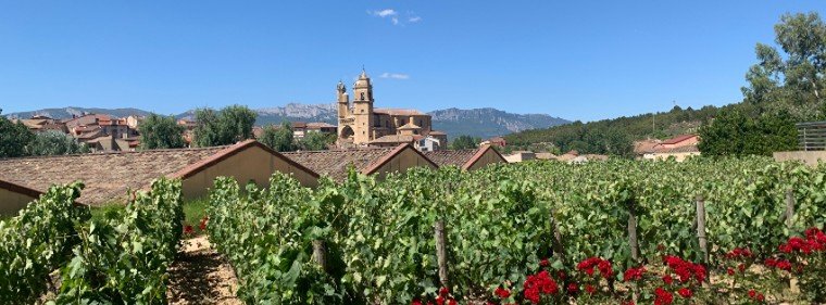 Qué ver en Elciego, un pueblo entre bodegas | Viajero Crónico